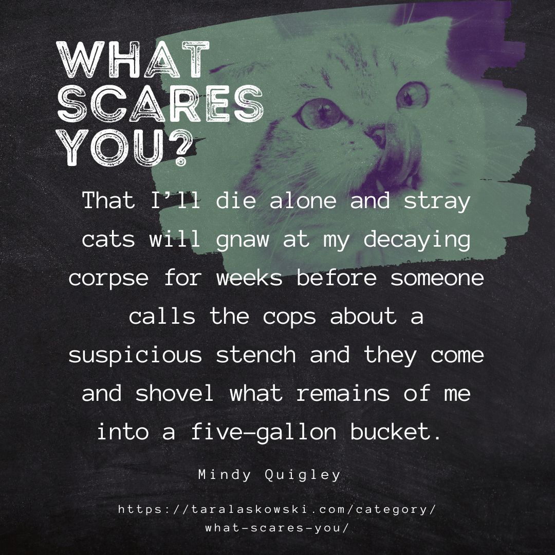 Feral cats, kosher wine, and other terrifying topics – Mindy Quigley